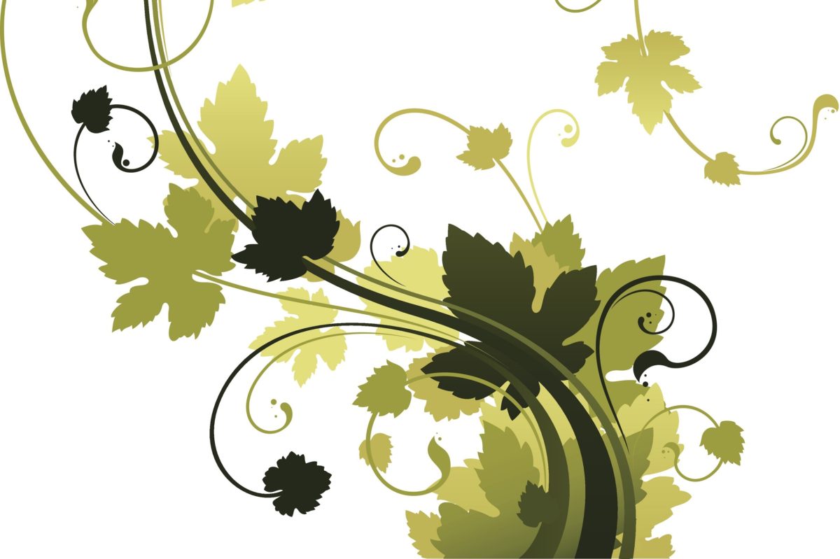 Vines grow with God's care - Uniting Church in Australia. Synod of ...